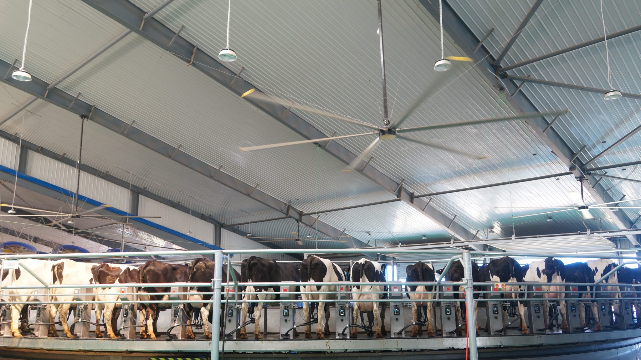Bonawind Farm Ventilation Fans for Dairy Barns | HVLS, Panel ...