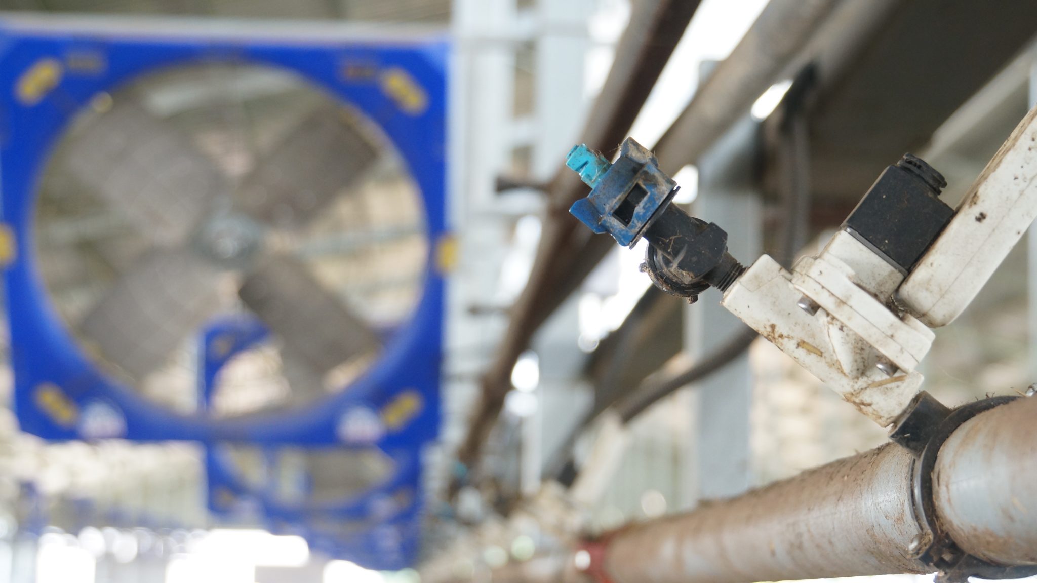 Soaking and Fan Systems for Dairy Barns – Heat Stress Cooling Solutions ...